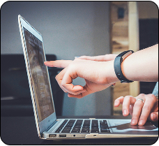 Seed-to-Sale Software Solutions for Cannabis Businesses