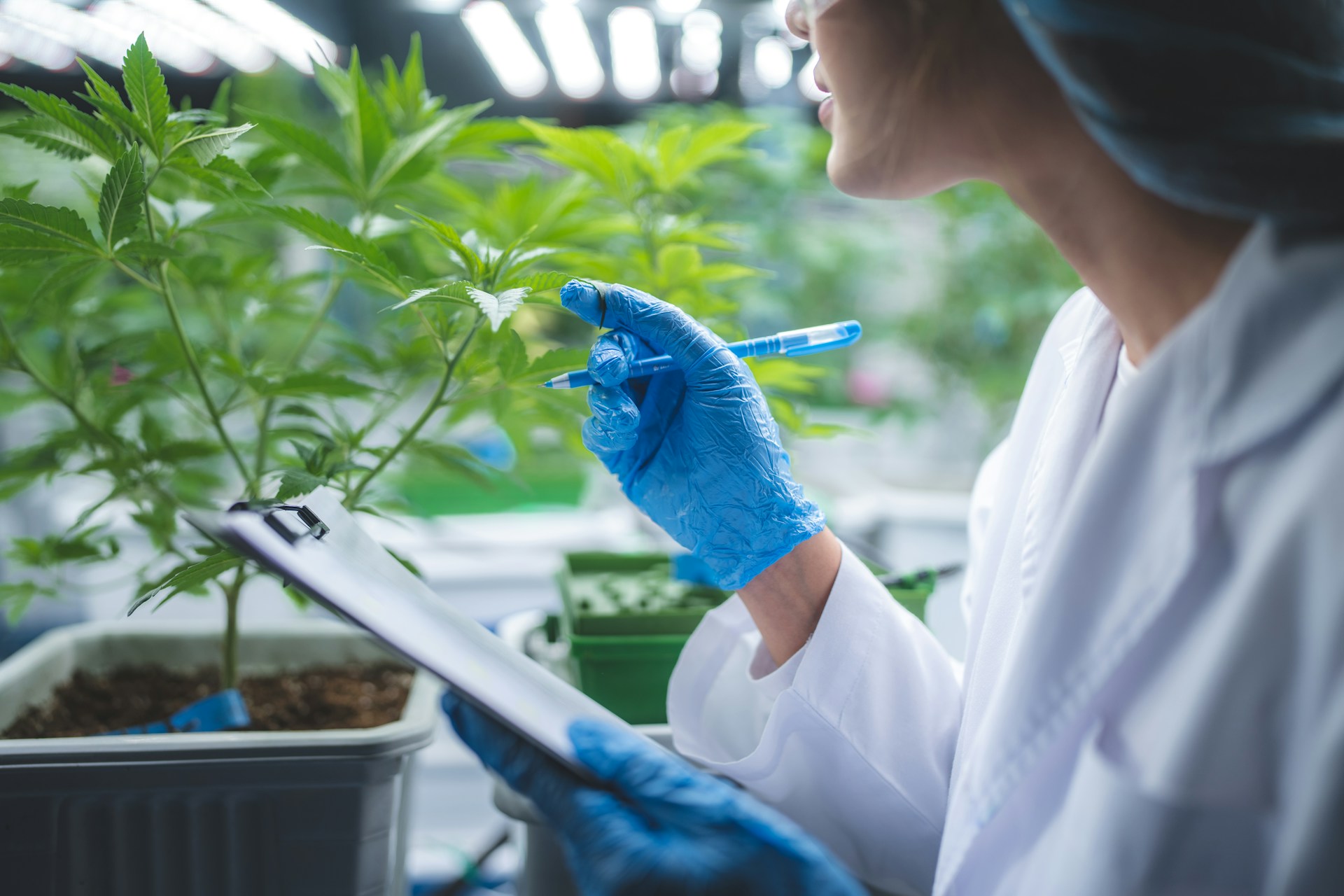 Cultivation Software | Cannabis Growing & Tracking Platform